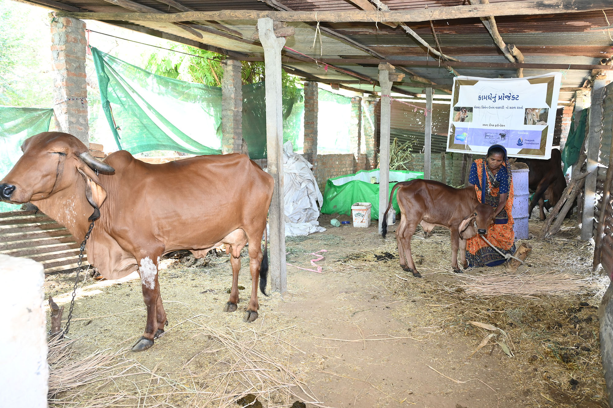 Our Team – Deepak Foundation