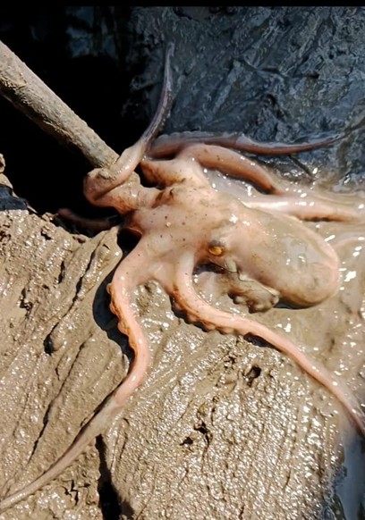 Public Health & Clinical Services – Deepak Foundation